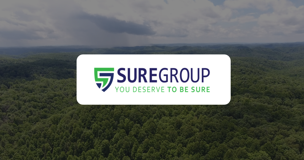 Schemas Archive - Sure Group Inc.